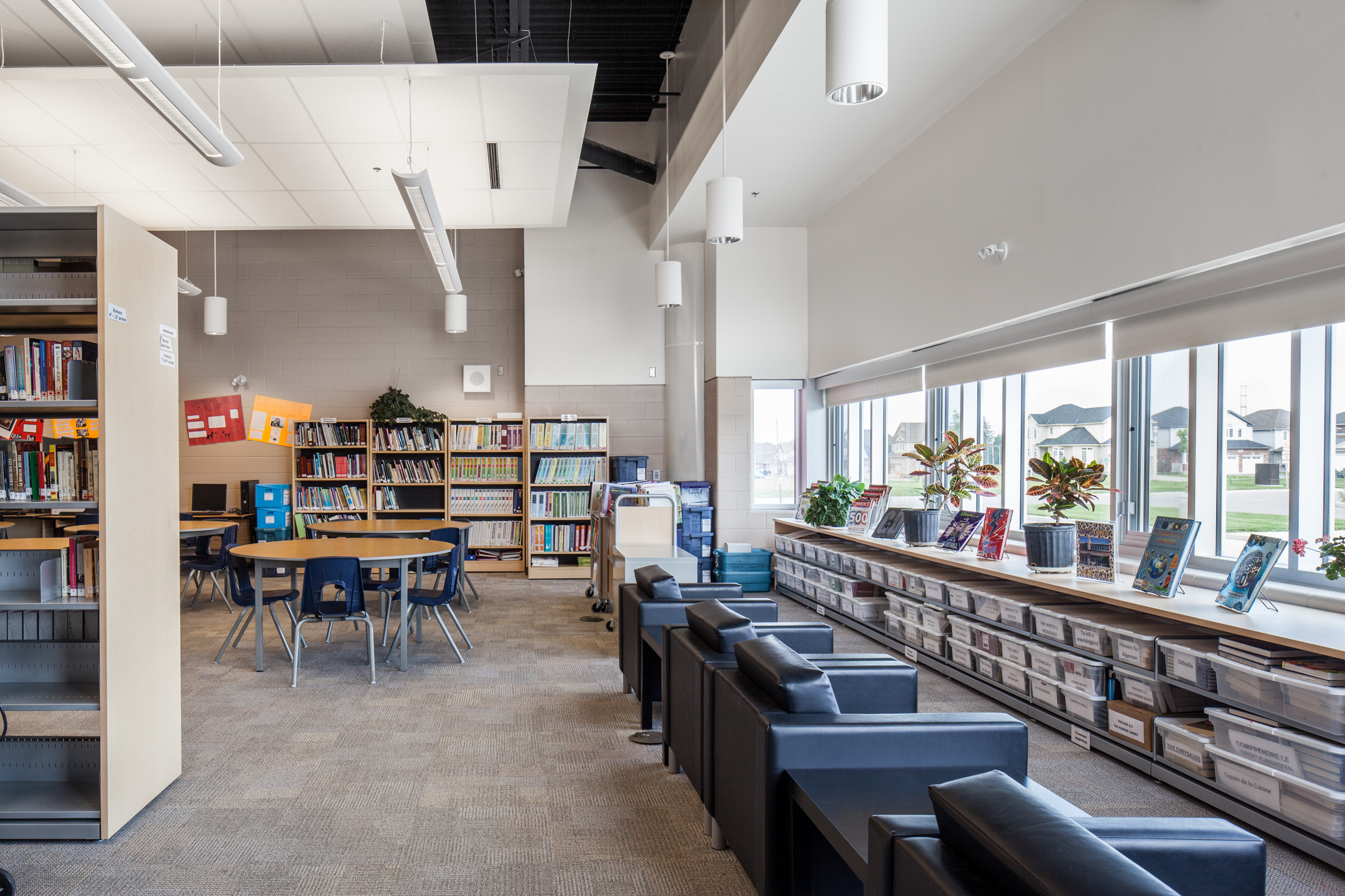 Libraries: Obsolete or Evolving? - CatapultSchools.ca